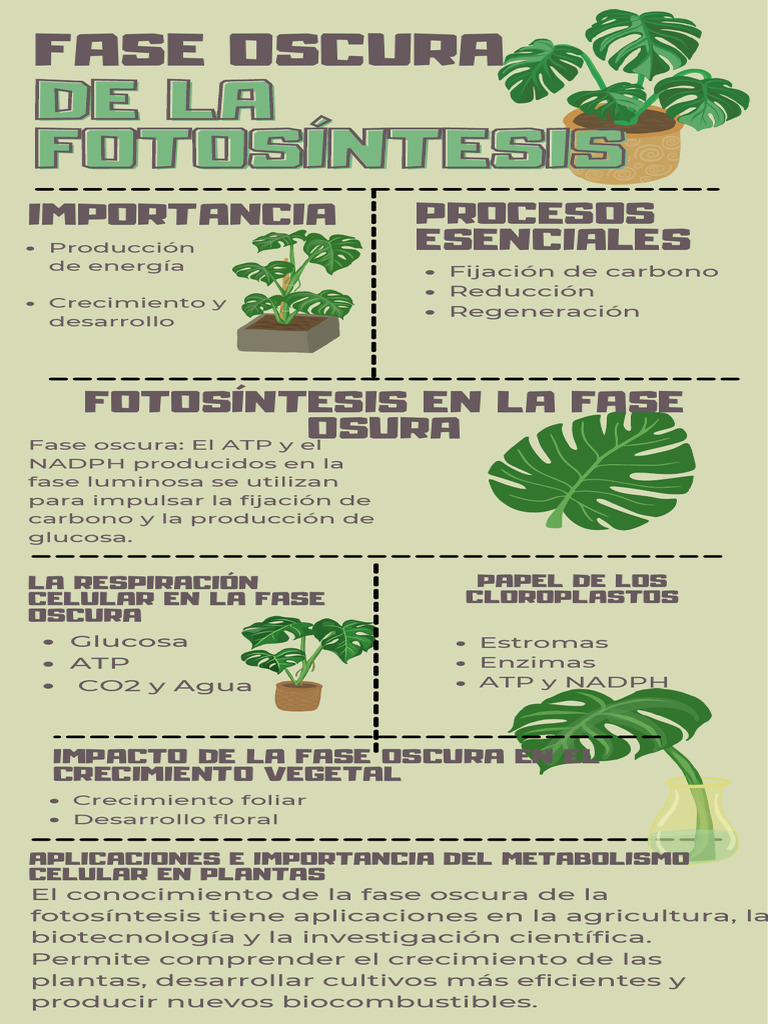 Green Brown Monstera Plant Fun Facts Infographic.pdf | PDF