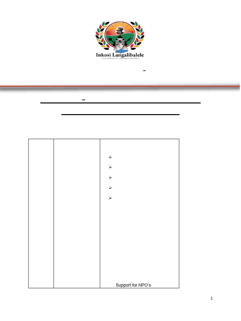 Idp Public Participation Report 202 | PDF | Road