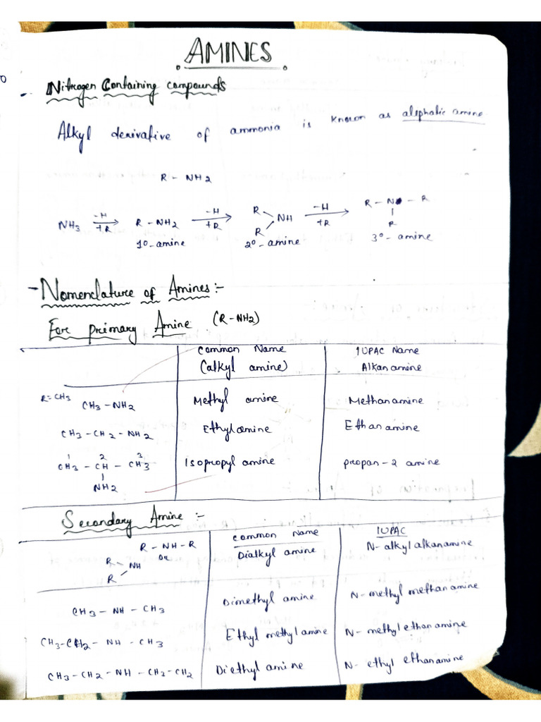 Amines Organic Chemistry | PDF