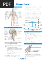 Anatomia do Sistema Venoso Ázigo | PDF | Veia | Coluna vertebral