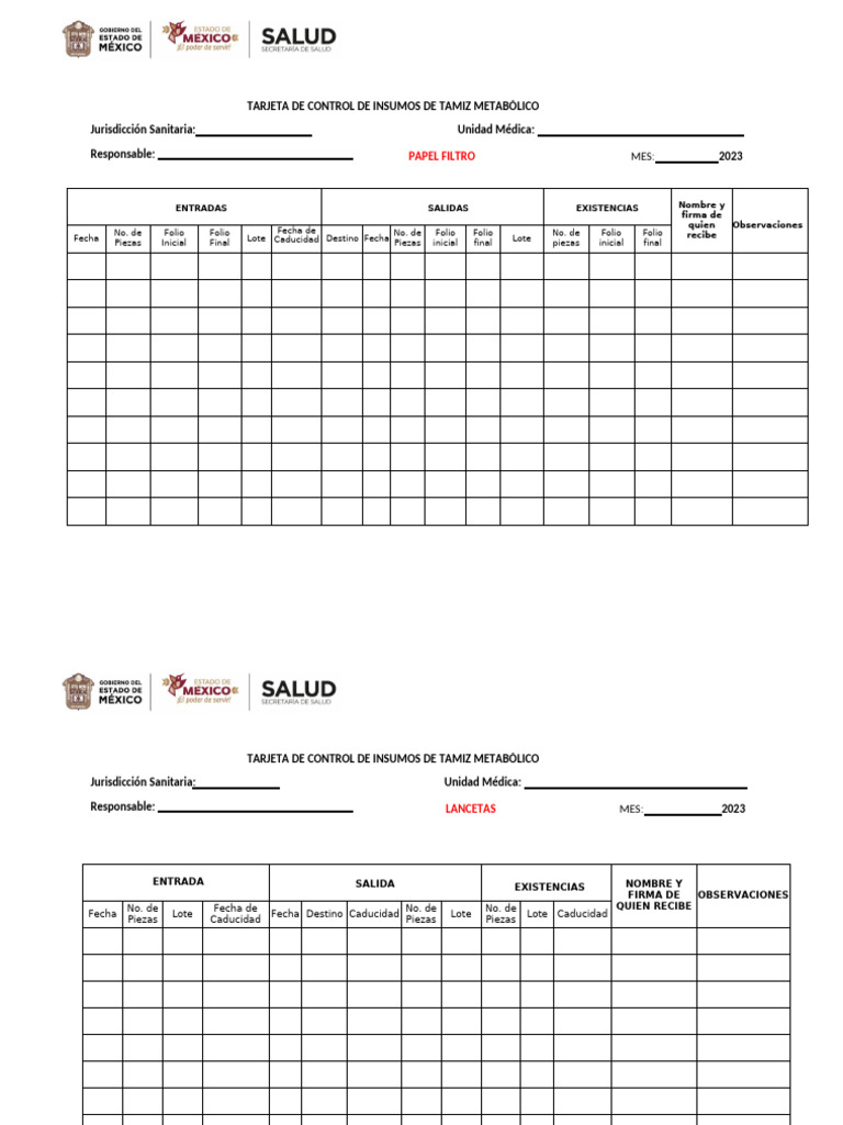 Formato de Insumos | PDF