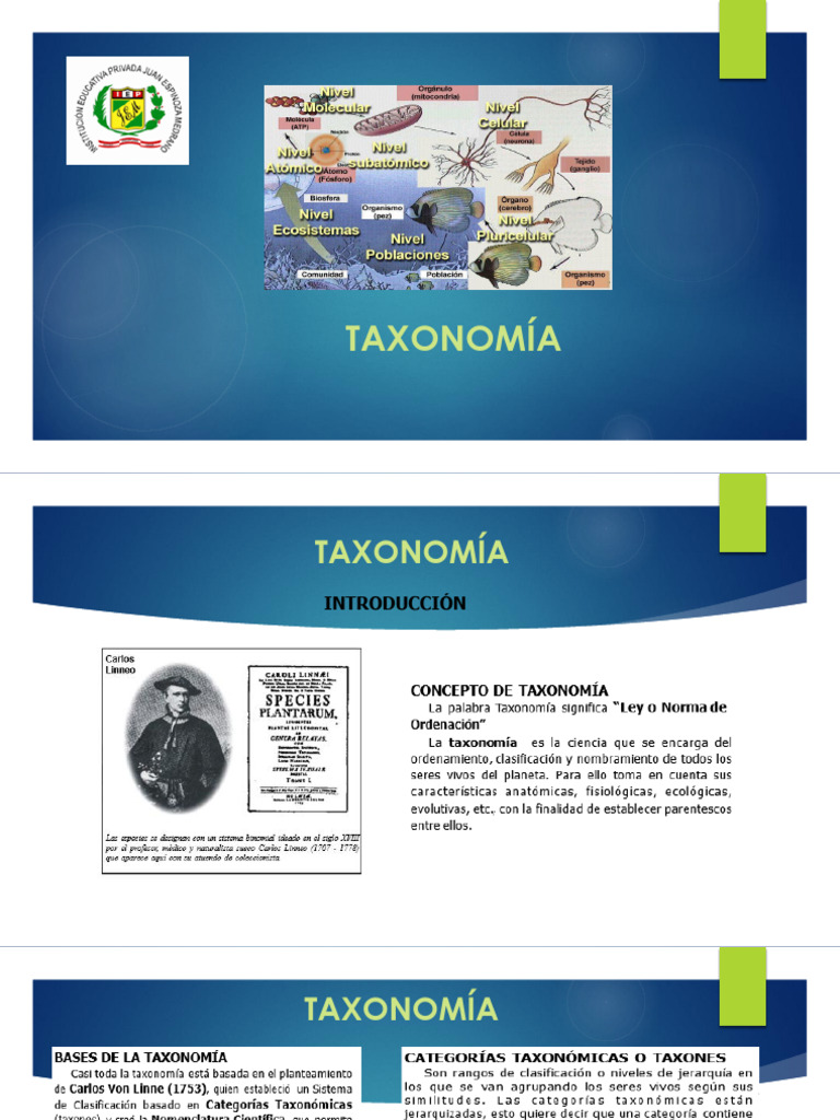TAXONOMIA | PDF