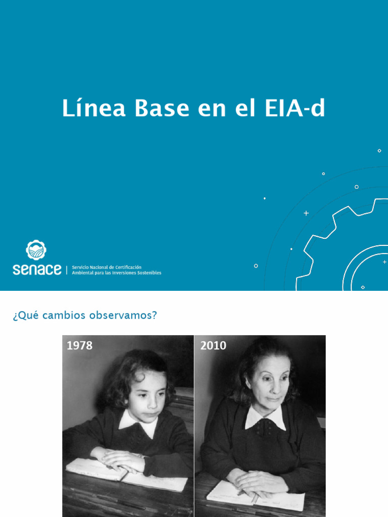 Linea Base en El EIA D | PDF | Entorno natural | Evaluación de impacto ambiental