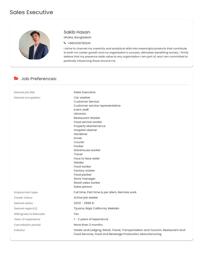 Sales Executive | PDF