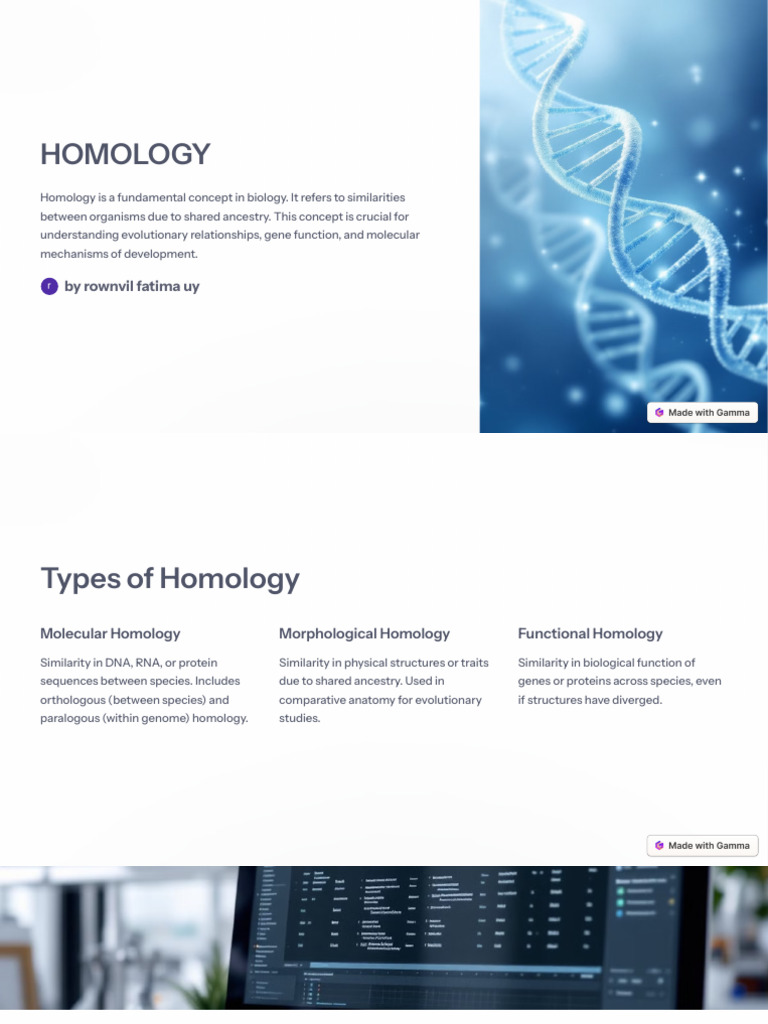 HOMOLOGY | PDF