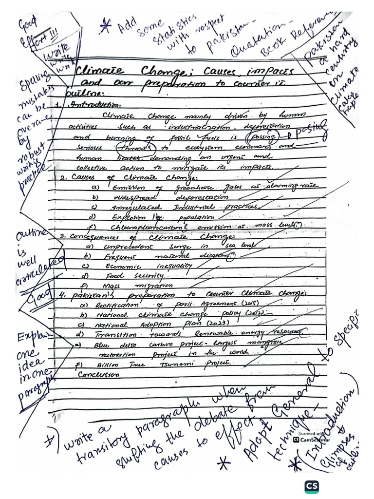 Checked Essay | PDF