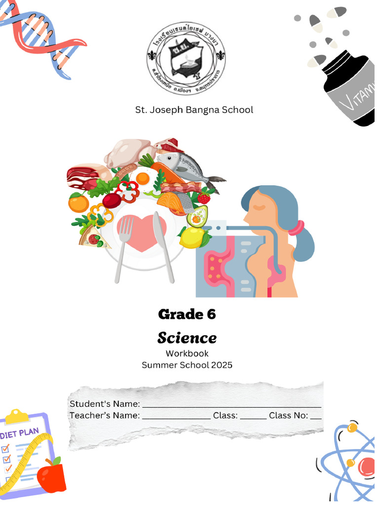 G6 - Digestive System | PDF | Foods | Nutrition