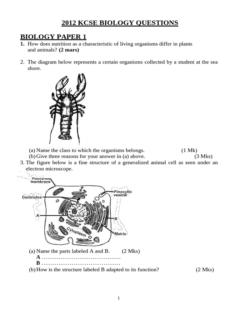 Biology Kcse Qns & Ans | PDF | Leaf | Nervous System