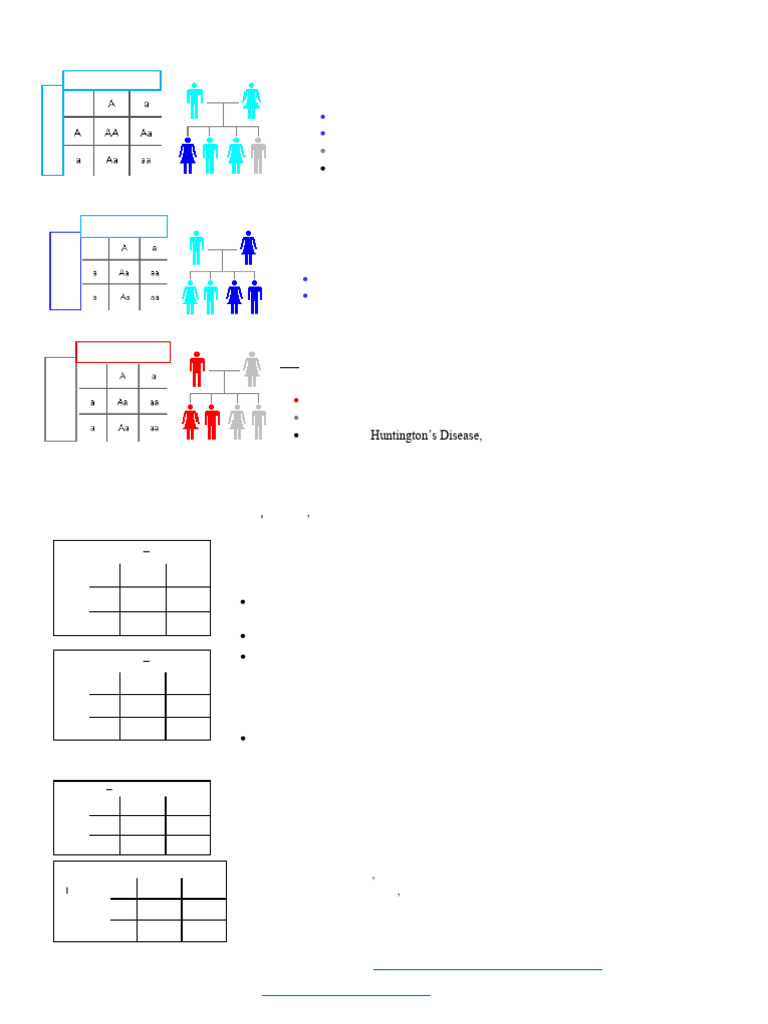 1c. Gene Predictions Using Punnett Squares | PDF | Dominance (Genetics ...
