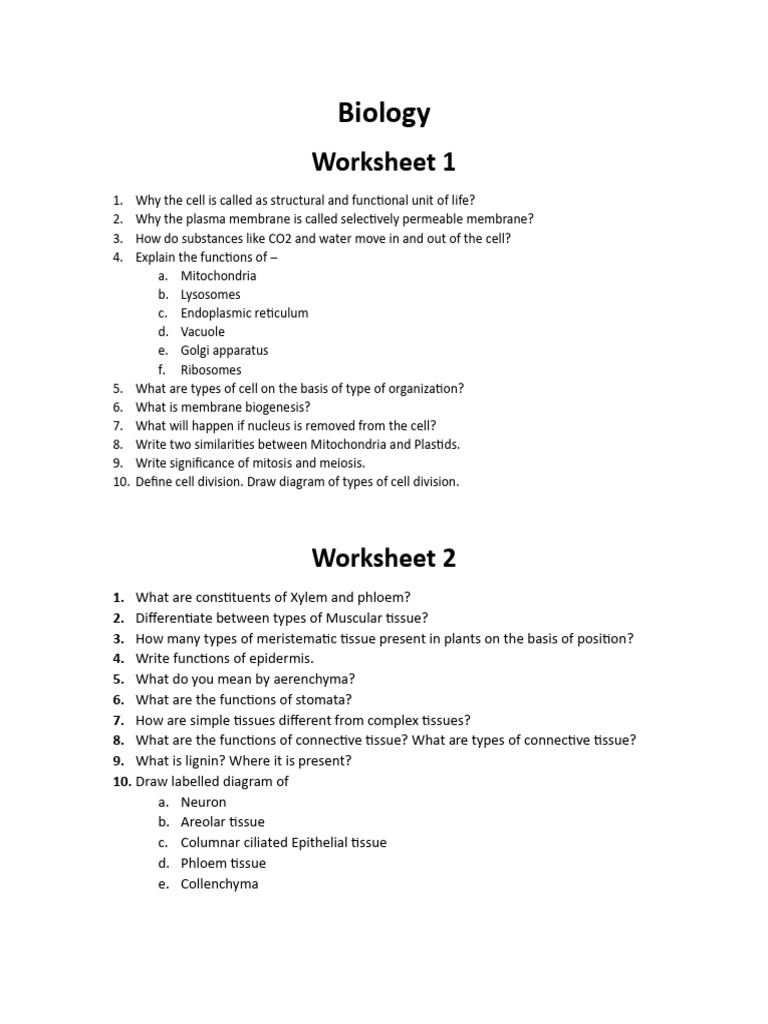class 9 worksheet | PDF