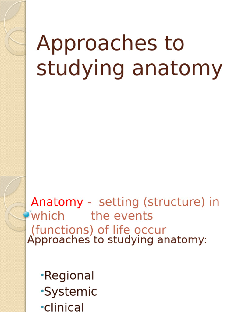 Approaches To Studying Anatomy | PDF | Bone | Skeleton