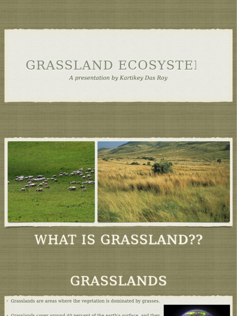Grasslands Ecosystem | PDF | Grassland | Habitat Destruction