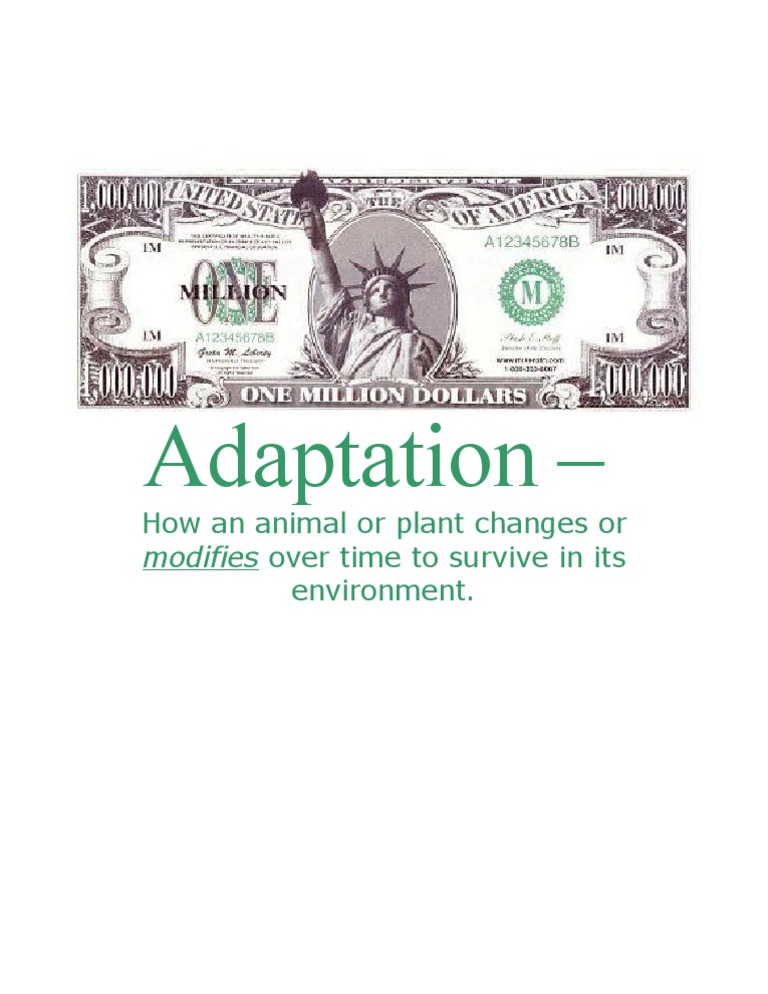 Million Dollar Word Template | PDF