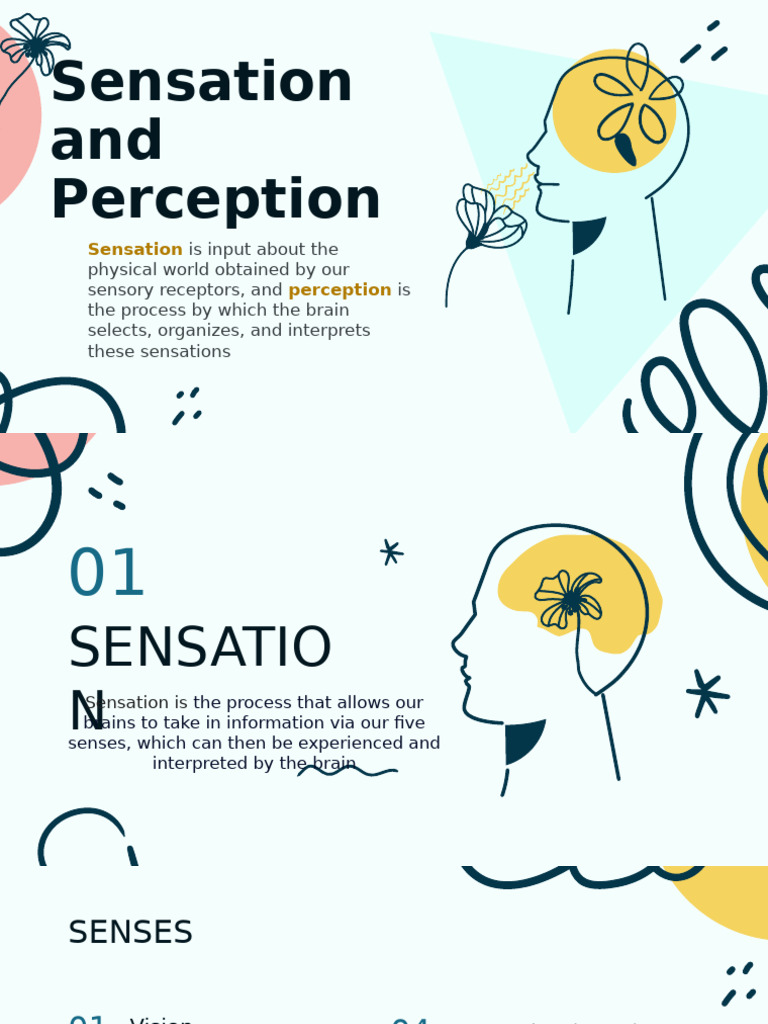 Sensation and Perception - PPTX COMPLETE LECTURE | PDF | Perception | Senses