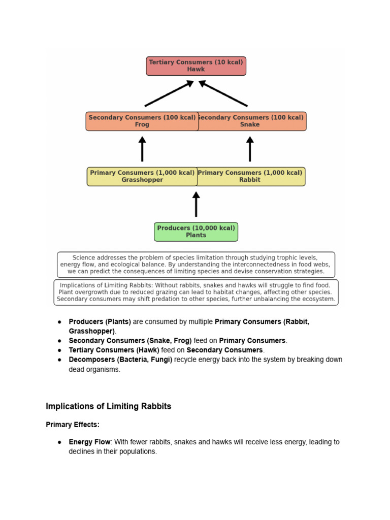 Food Pyramid Energy Flow and Trophic Levels | PDF