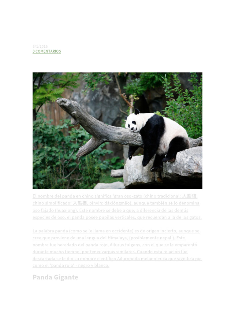 Tipos de Panda | PDF | Panda gigante | Zoología
