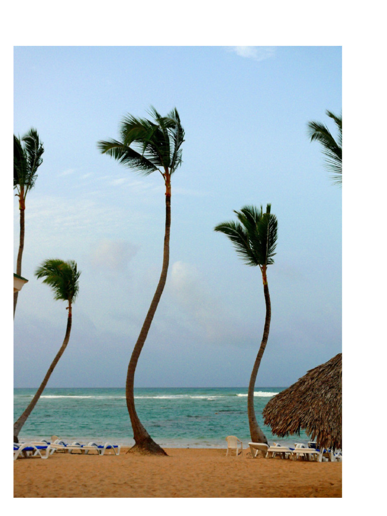 playas | PDF