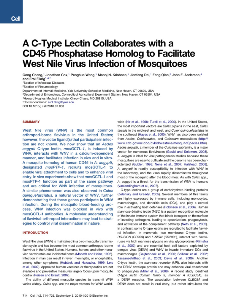 A-C-Type-Lectin-Collaborates-with-a-CD45-Phosphata | PDF | Immune ...