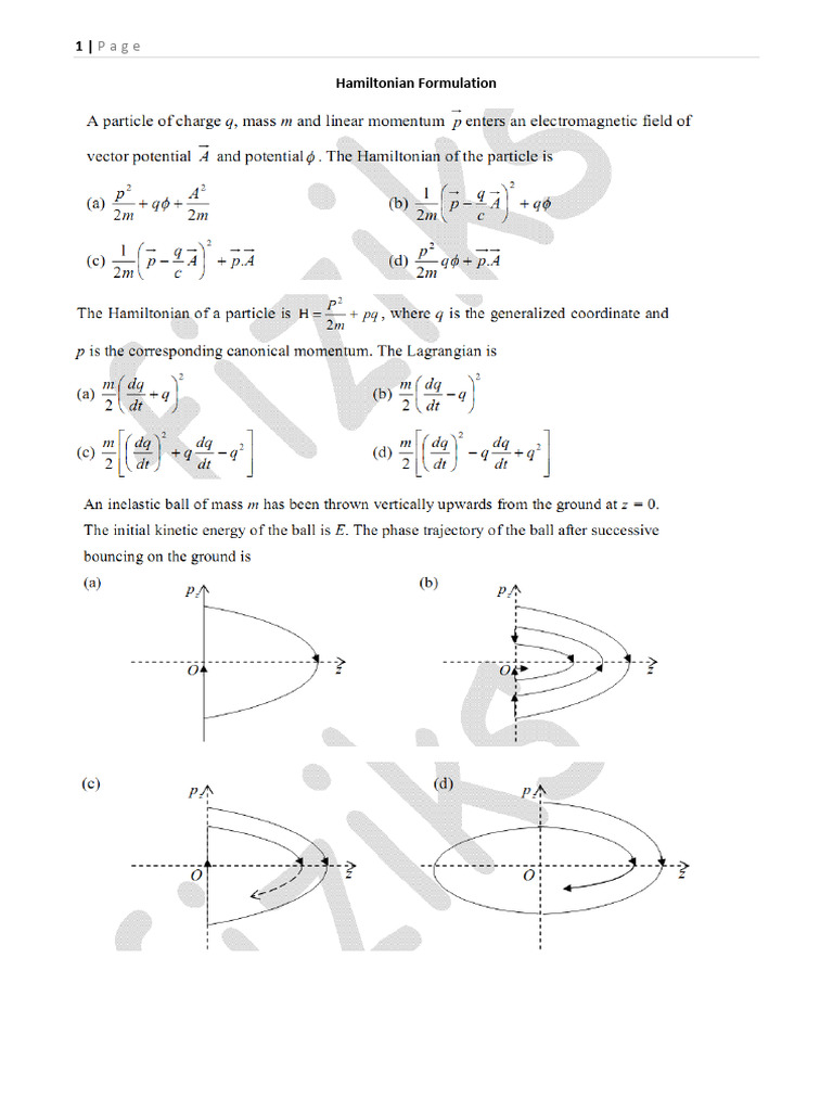 Hamiltonian Formulation Overview | PDF