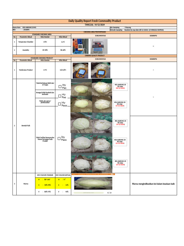 Daily Report Sampling Wortel&KOL (1) | PDF