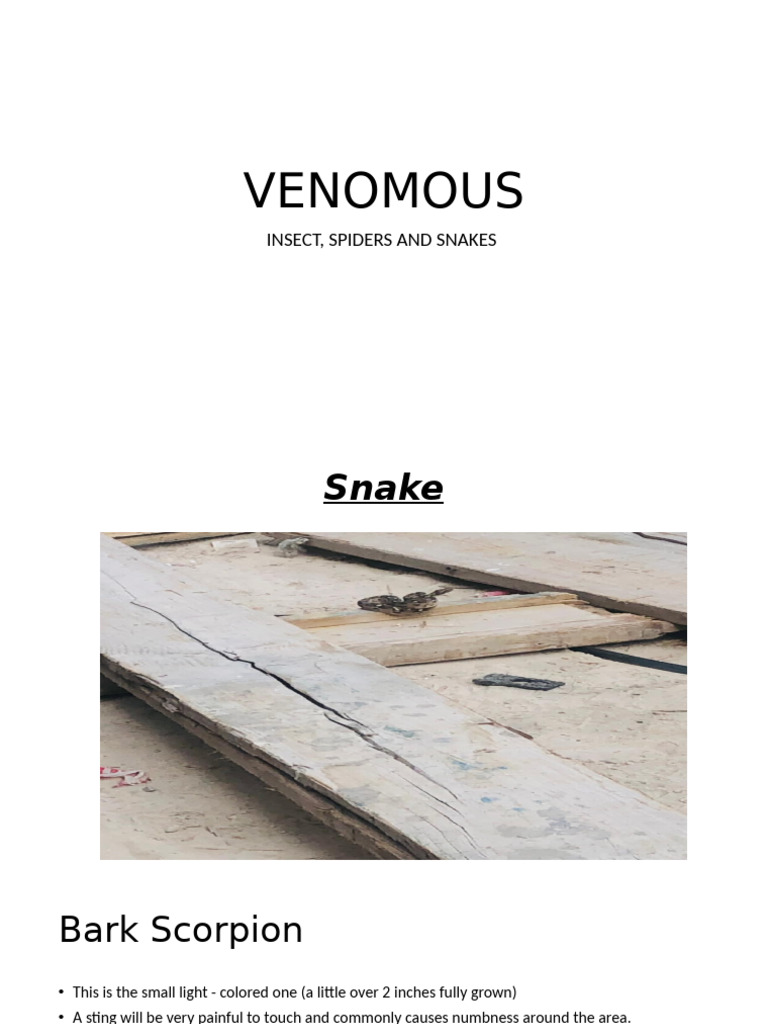 VENOMOUS Snakes Training | PDF