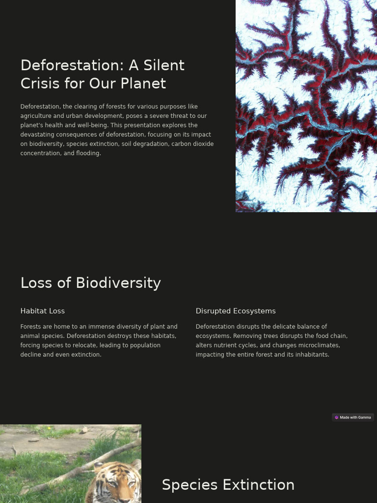Deforestation A Silent Crisis For Our Planet | PDF