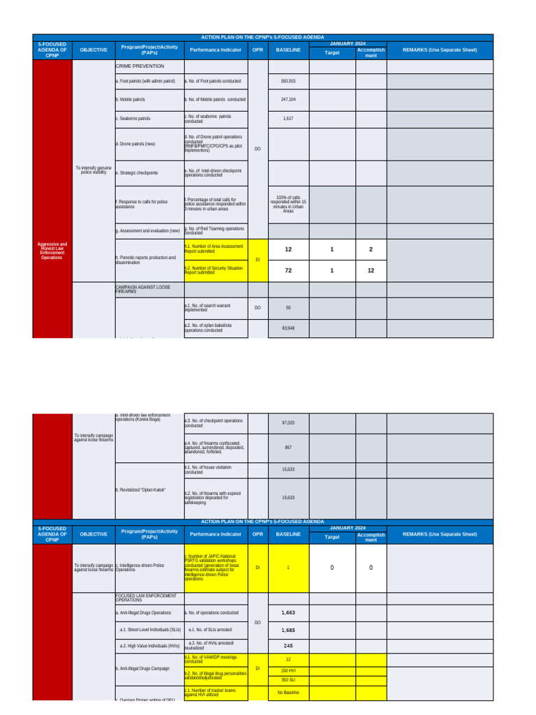 CPNP 5-Focused Agenda Action Plan | PDF | Legal Action | Public Sphere