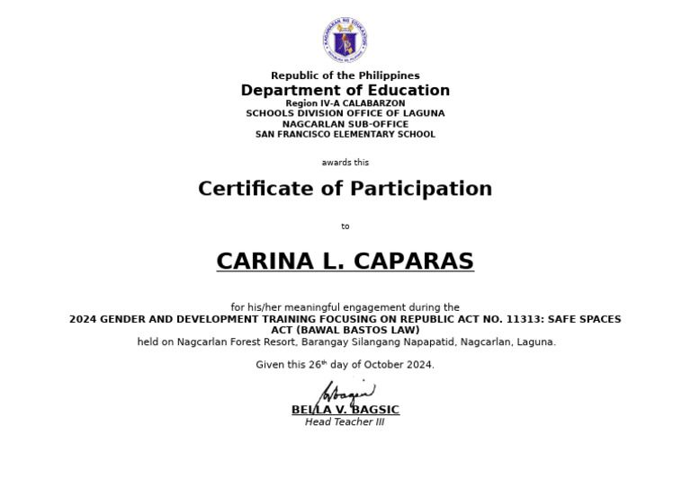 participation-GAD | PDF