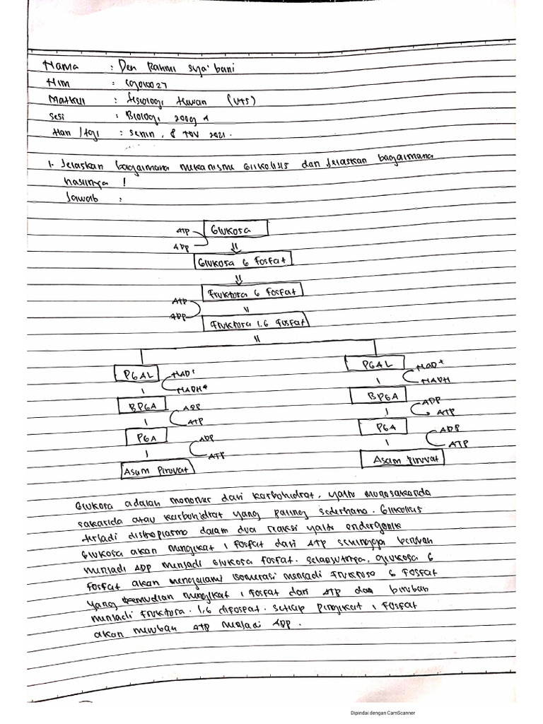 DEA RAHMI SYABANI-19010027-UTS FISWAN | PDF