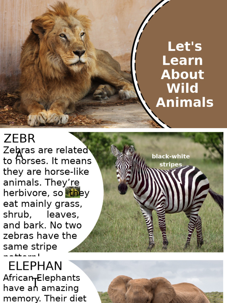 Let's Learn About Wild Animals | PDF
