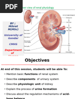 Renal Physiology | PDF | Kidney | Urinary System