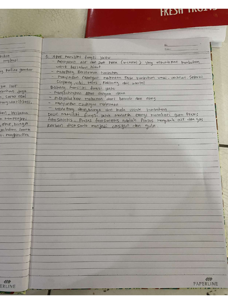 Muhammad Rizki Habibulah | PDF