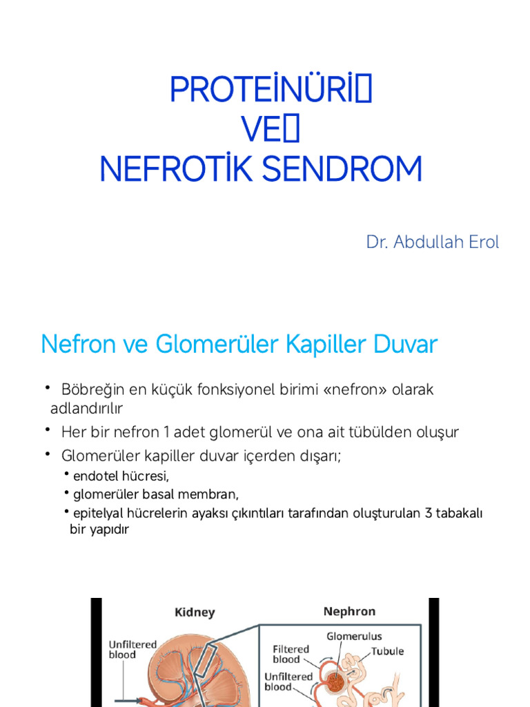 Nefrotik Sendrom | PDF