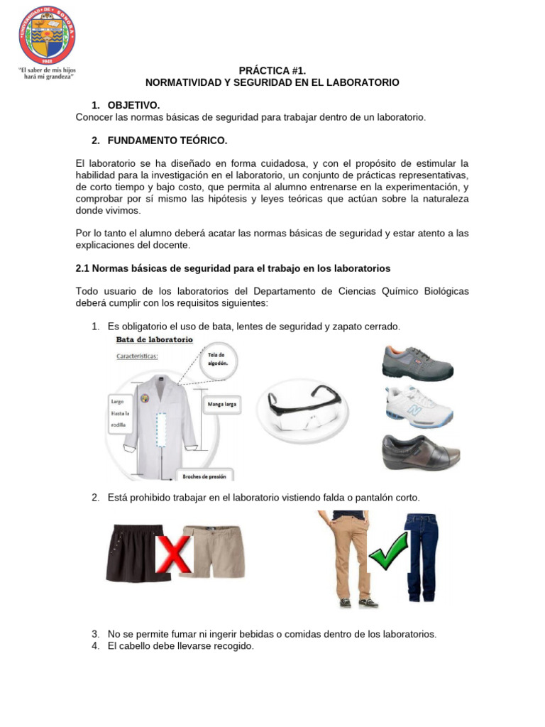 Práctica # 1 Reglas de Seguridad de Los Laboratorios 23 | PDF ...
