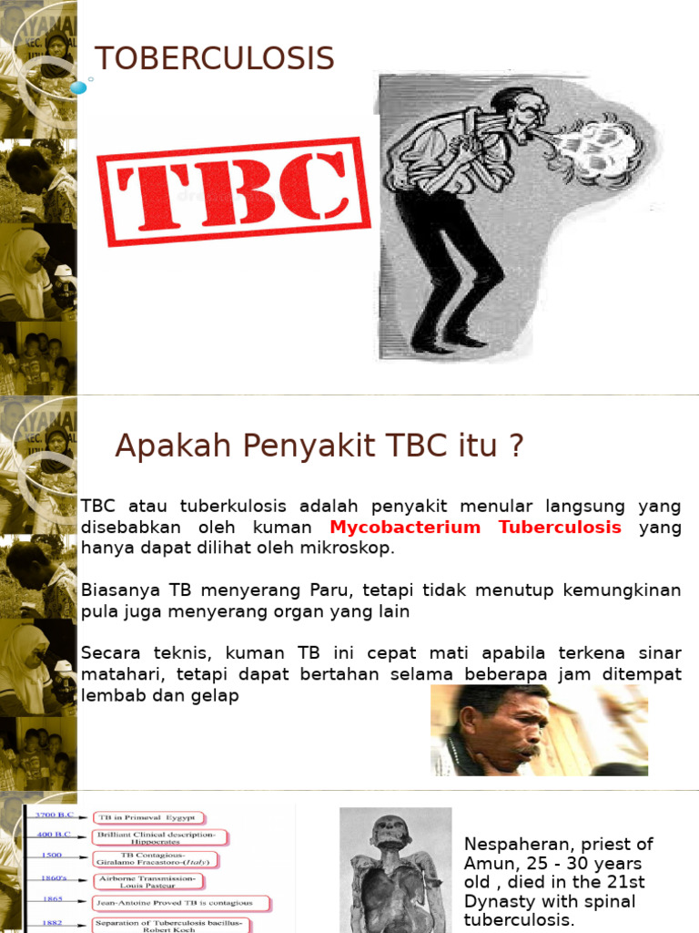 Apa Itu Tuberkulosis | PDF