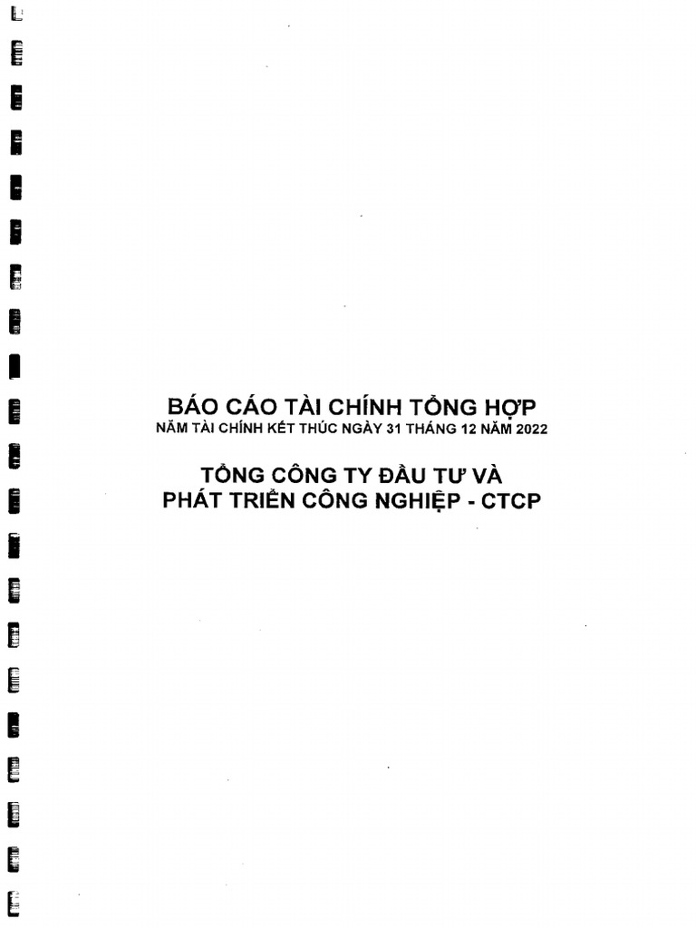 BCM-BCTC Tong Hop & BCTC HN Kiem Toan Nam 2022 | PDF