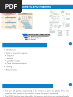 pET-28 A (+) - Addgene Vector Database (Plasmids, Expression Vectors ...
