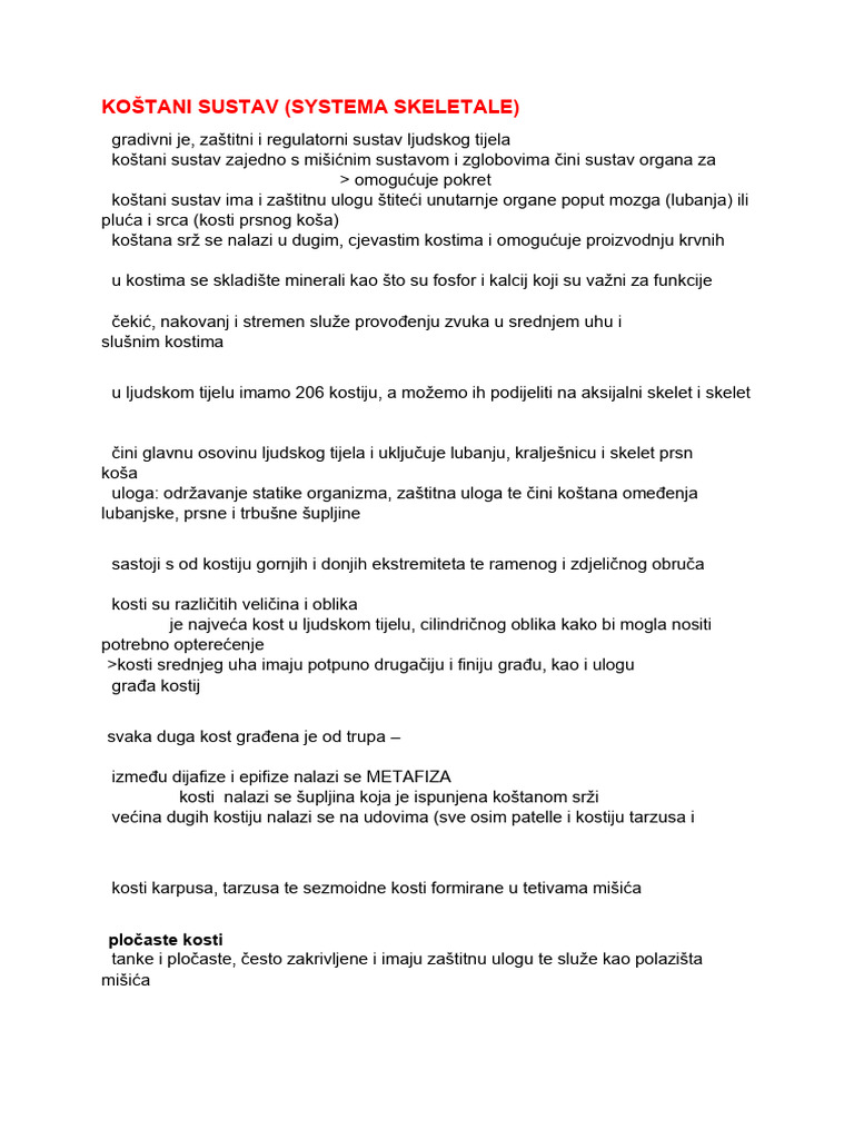 Anatomija Skripta Sustava Za Kolokvij | PDF