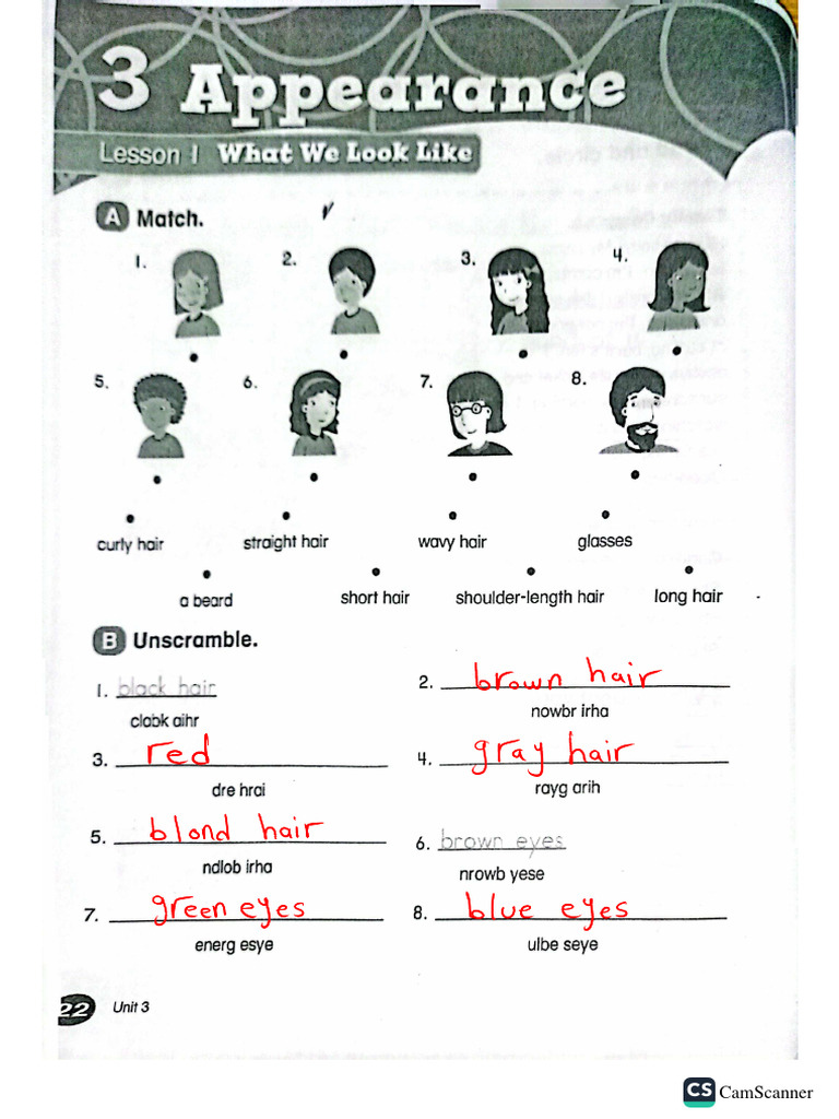 Up Work Book 4 - Annotated | PDF