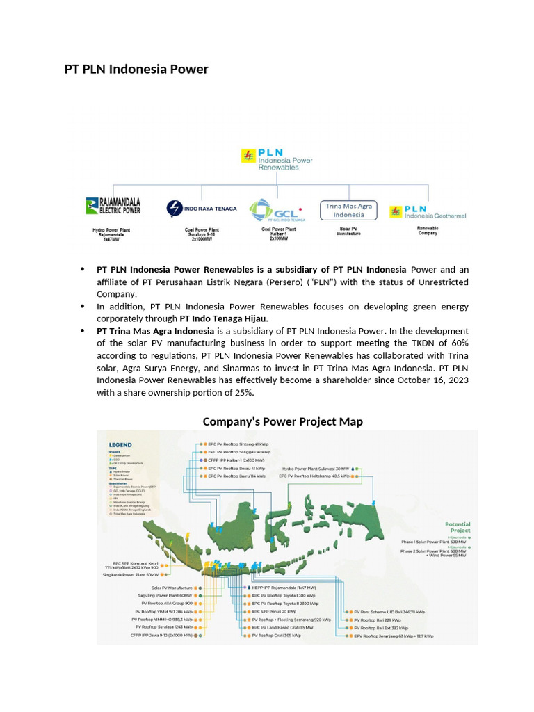 PT PLN Indonesia Power Renewable Projects | PDF | Renewable Energy ...