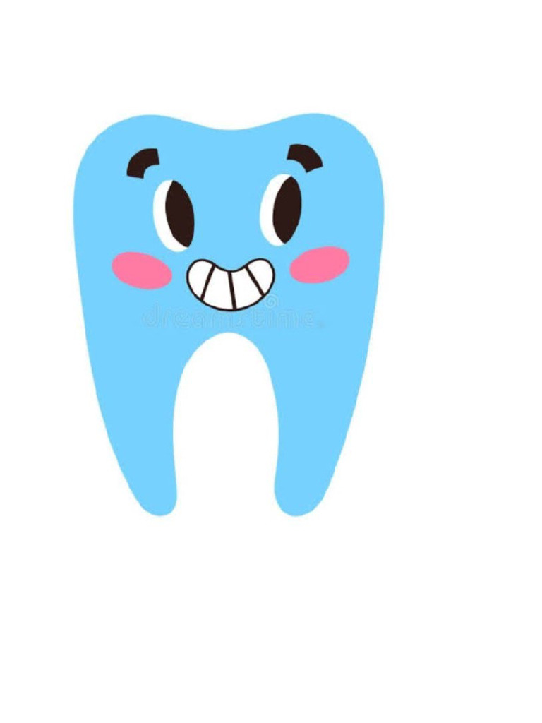 Tooth | PDF