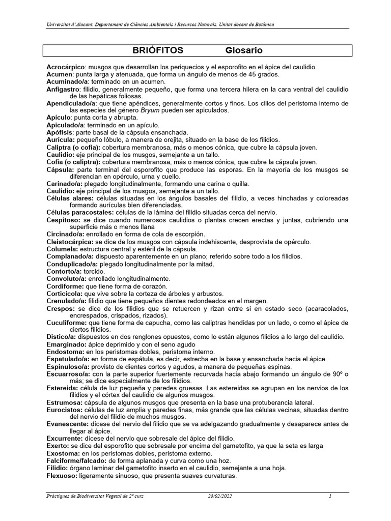 Glosario de briofitos y caulidios | PDF | Hoja | Plantas