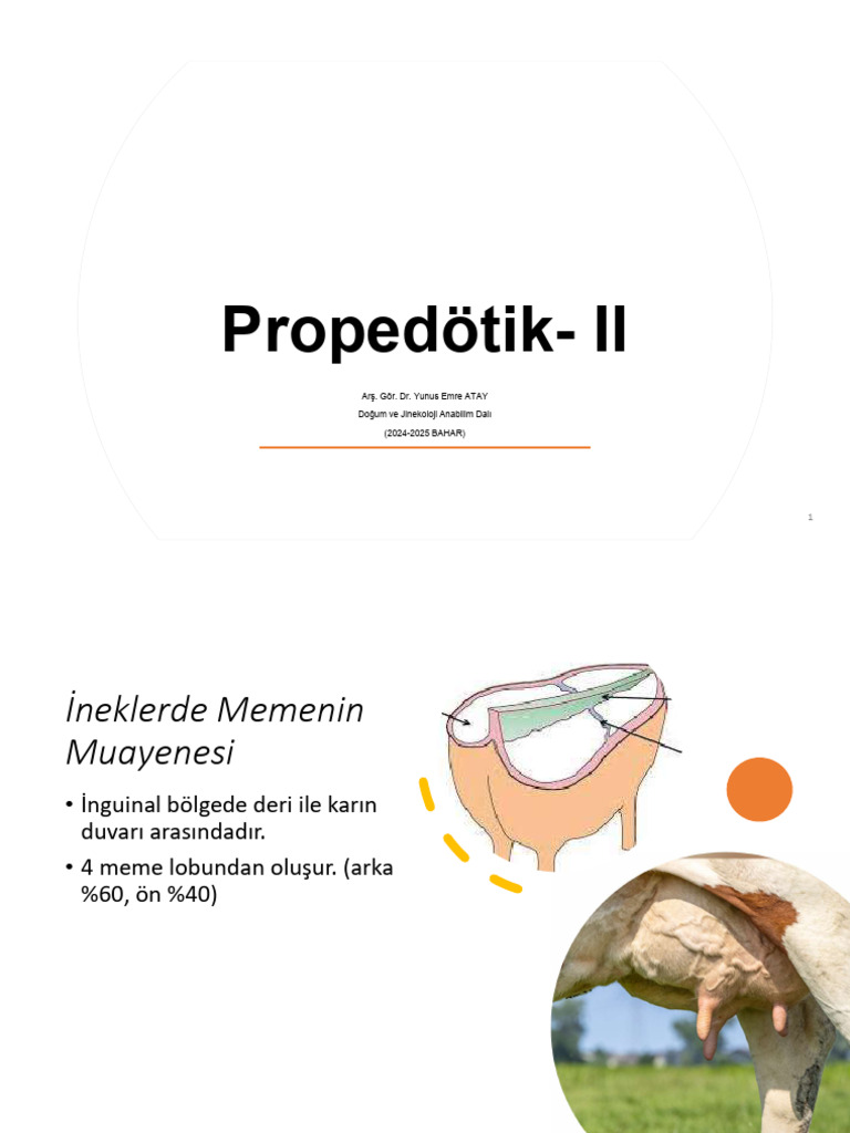 Propedötik-II Yunus Emre ATAY 2025-3-110304 | PDF