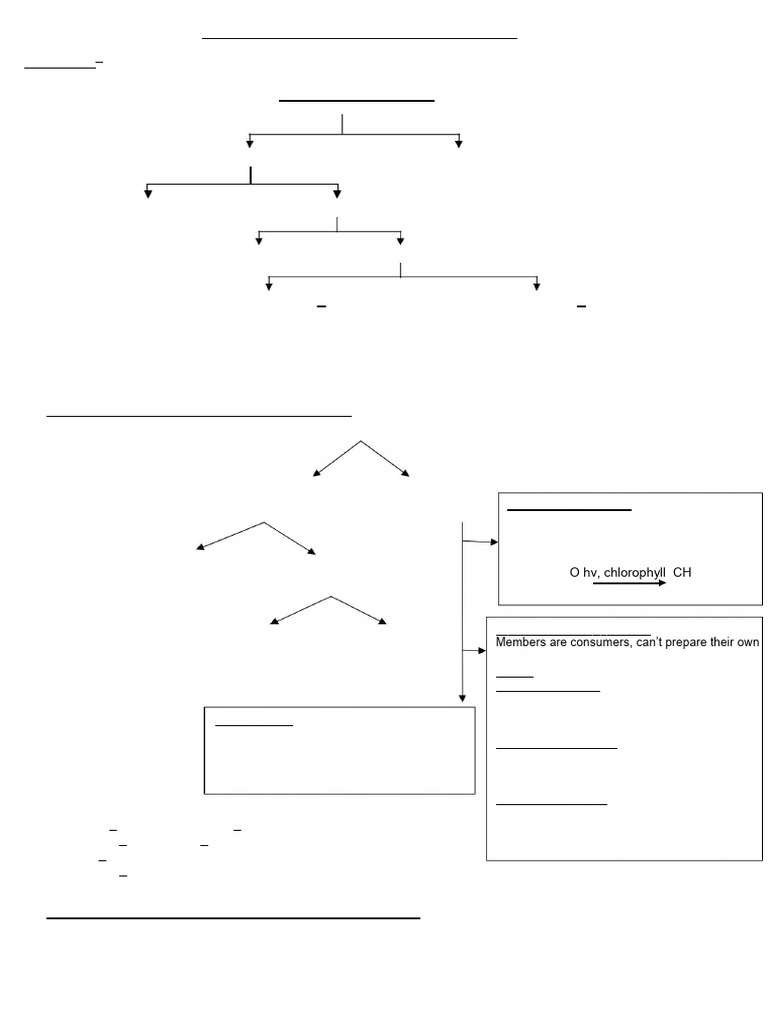 Evs Notes Unit 2 - Ecosystems and Biodiversity | PDF | Ecosystem | Foods