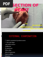 EKG Practice Test | PDF | Myocardial Infarction | Artificial Cardiac ...