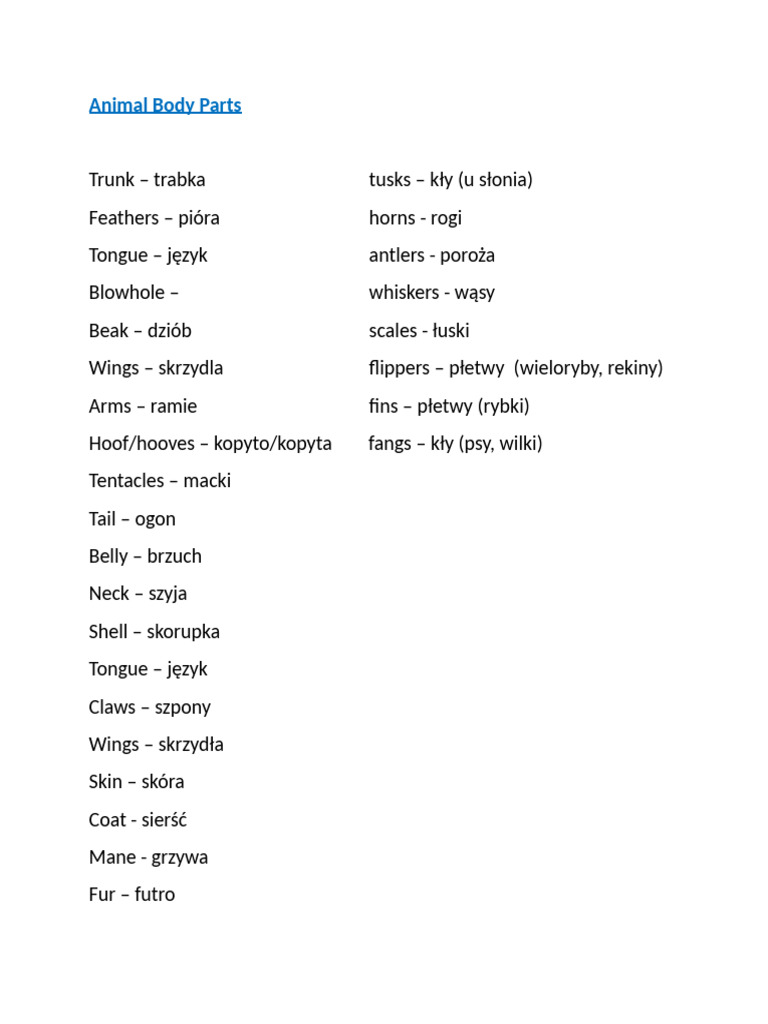 Animal Body Parts | PDF