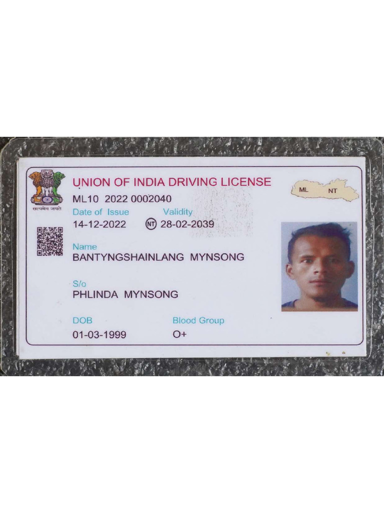 Driving Lisence | PDF