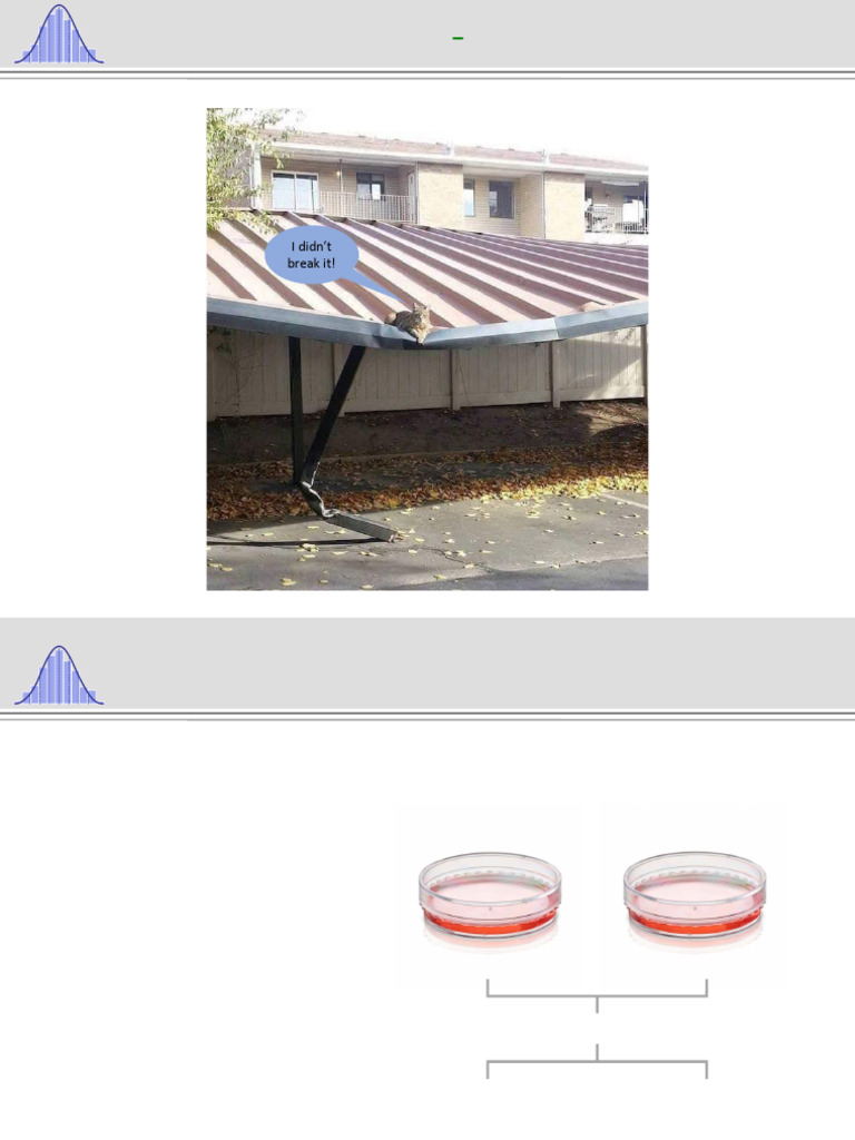 BIO203 Lecture 11 (Correlation) SHF 2024 | PDF | Errors And Residuals | Regression Analysis
