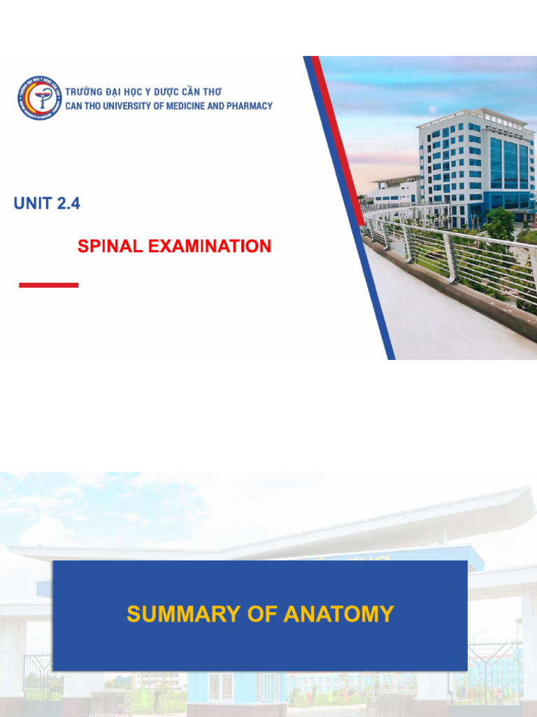 2.4 Spinal Examination | PDF