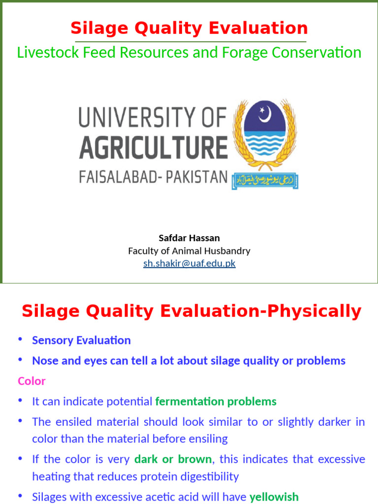 Silage Quality Evaluation Guide | PDF | Fermentation